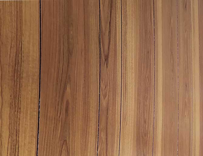 Rivestimento overlay dogato fotografato