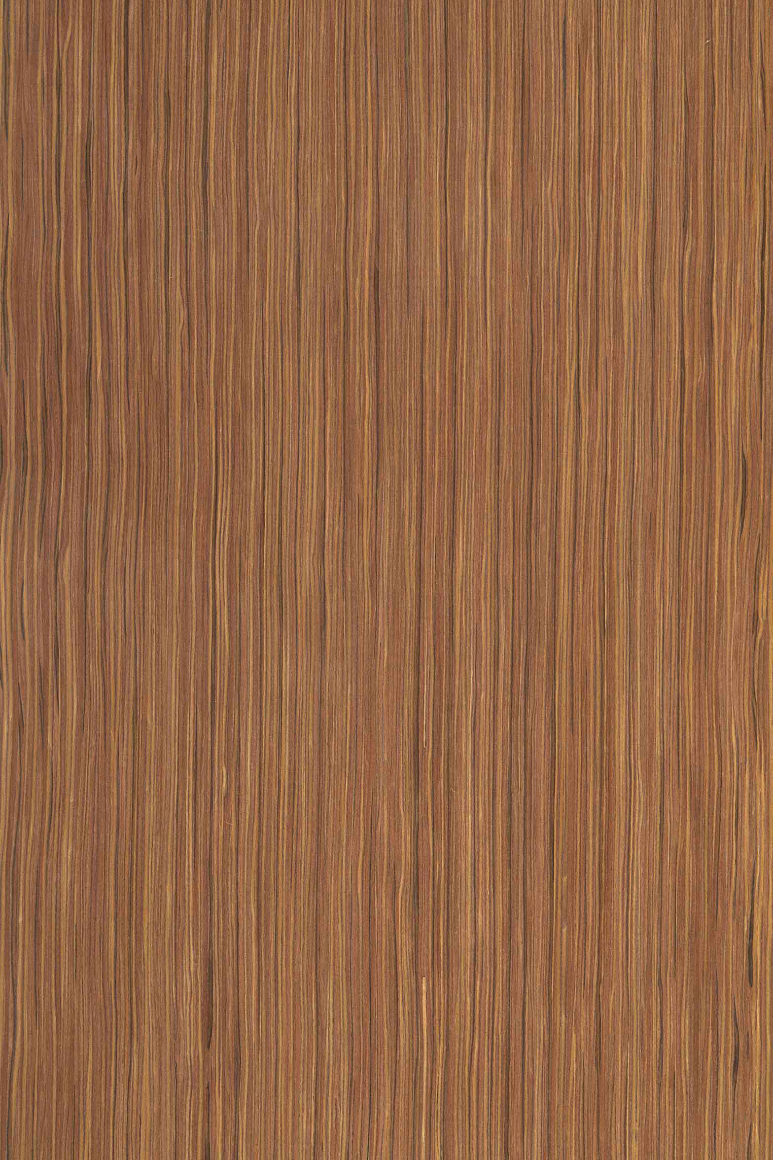 Palissandro fiammato 025DS tranciato di legno precomposto