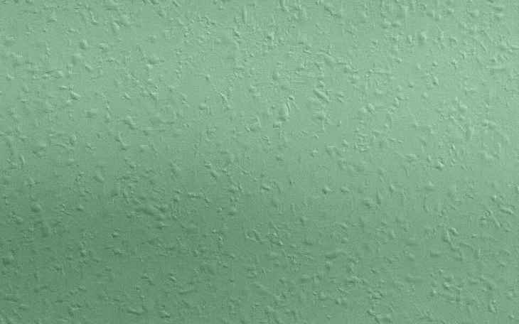 Verniciatura Bucciata